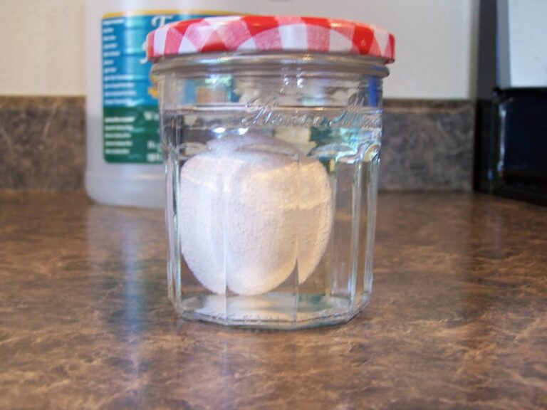 See Through Bouncy Egg Experiment for Kids See Through Bouncy Egg ...