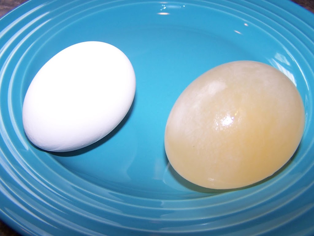 See Through Bouncy Egg Experiment for Kids See Through Bouncy Egg ...